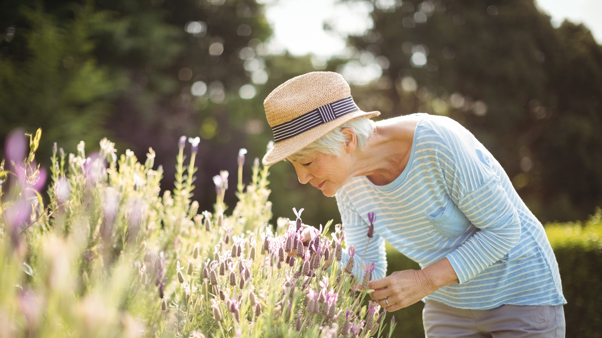 Immediate vs. Deferred Annuities: What’s the | Old National Bank